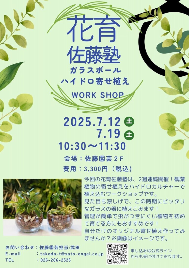 【終了】～2025年7月12日 /7月19 花育🍃佐藤塾(ワークショップ）｜【佐藤園芸】長野市でご自宅のエクステリアを中心に、創業70年以上歴史を持つ会社です。